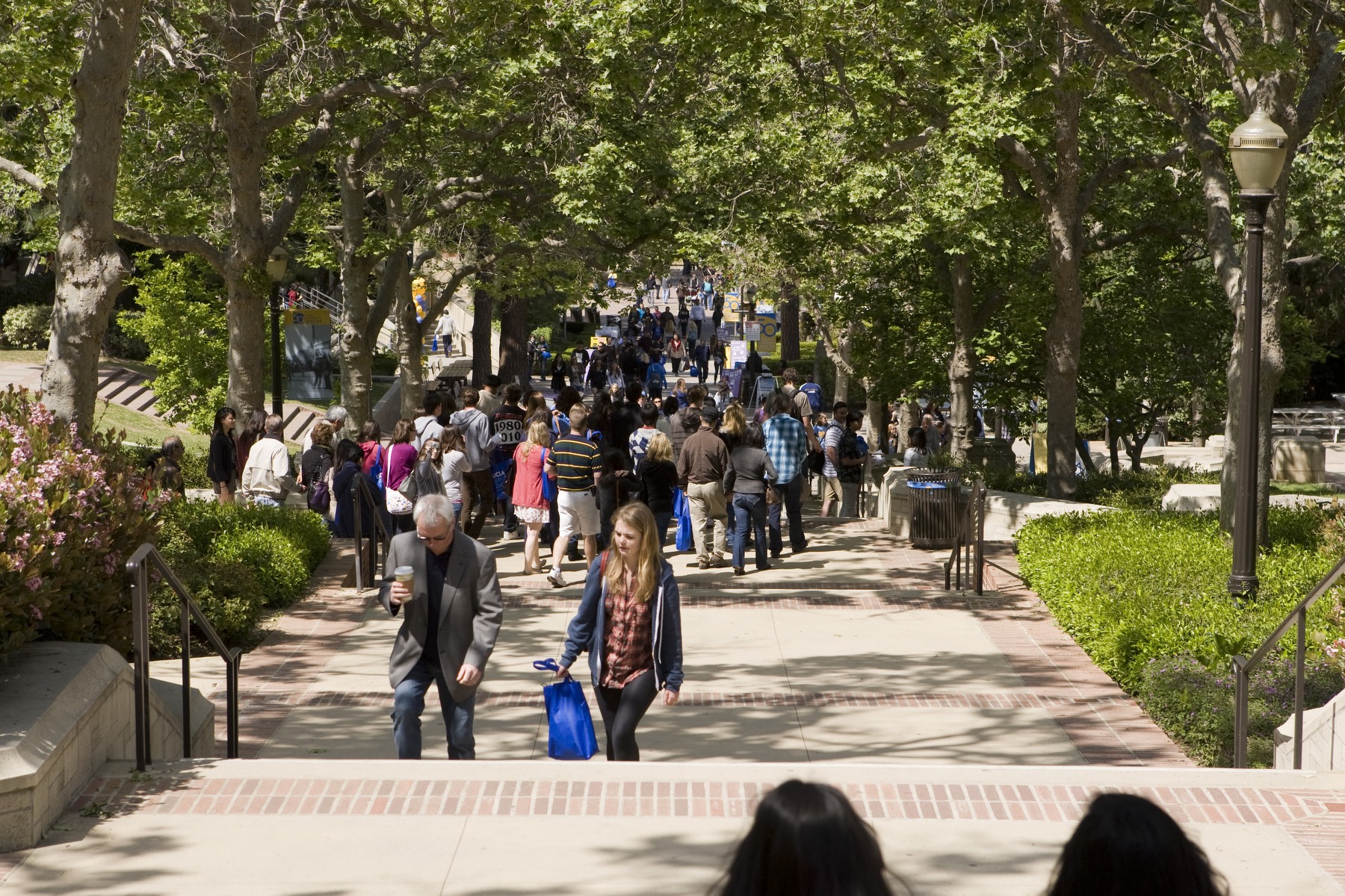 Zero Week: no longer a Fall phenomenon! – UCLA Bruin Blog