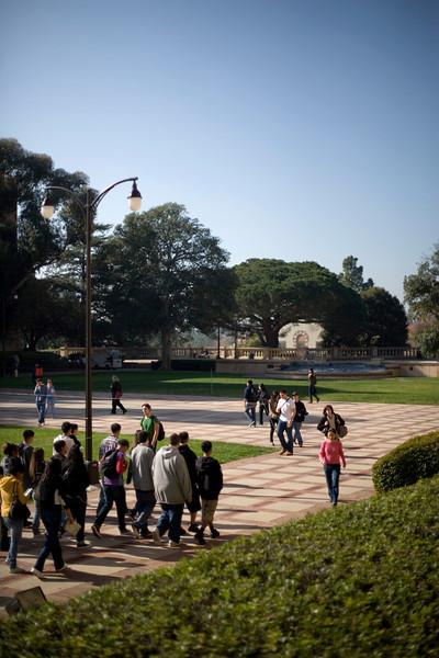 Royce Quad—Photo Credit: Stephanie Diani – UCLA Bruin Blog