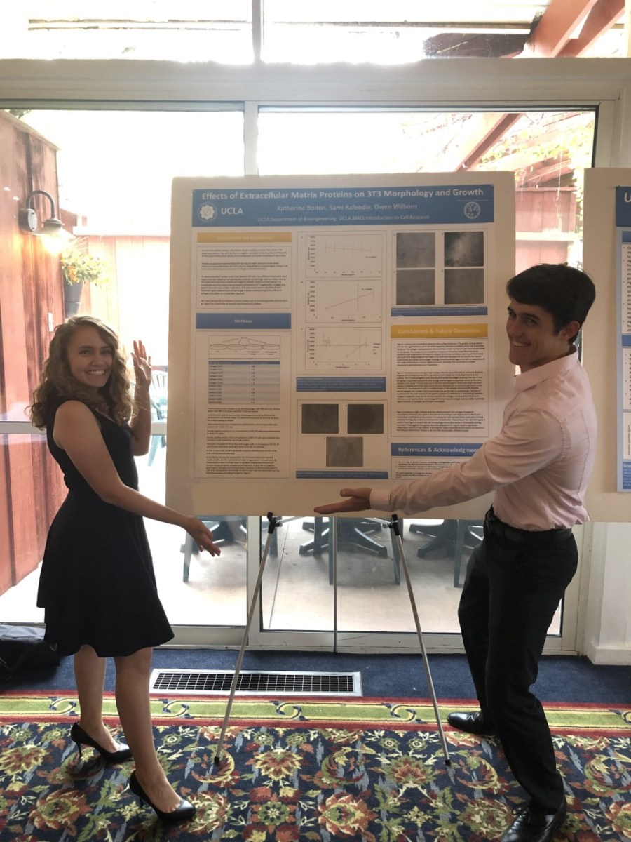 Laboratory Research on Campus – UCLA Bruin Blog